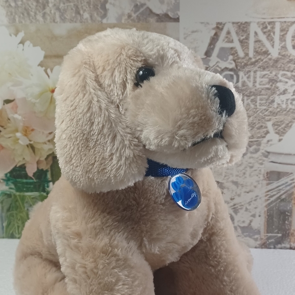 Nintendo | Toys | 208 Nintendogs Best In Show Lab Interactive Puppy Dog ...